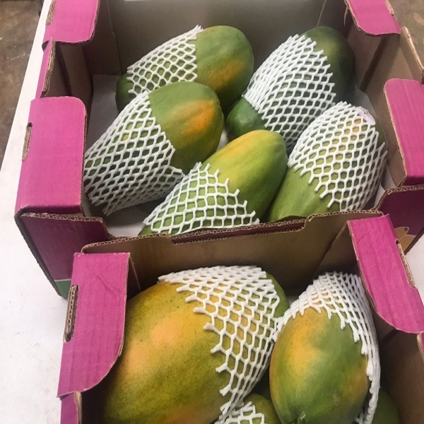 Product Details : The Fruitkart